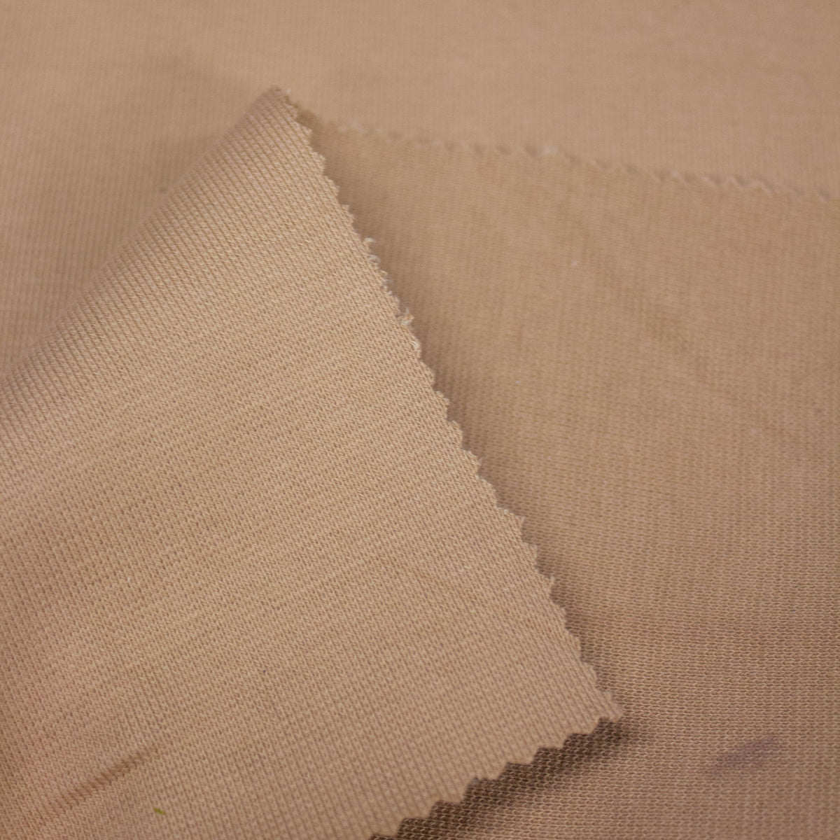 Dabeul Camel Beige Cotton Cuff Jersey Fabric | THE FABRIC SALES