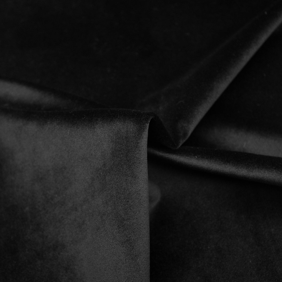 Litta Black Polyester Velvet Fabric | THE FABRIC SALES